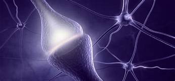 La scienza della tossicodipendenza - Il Superuovo