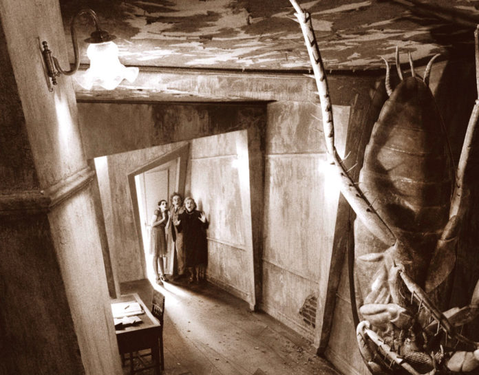 Come ti sentiresti a diventare un insetto? La metamorfosi tra ...