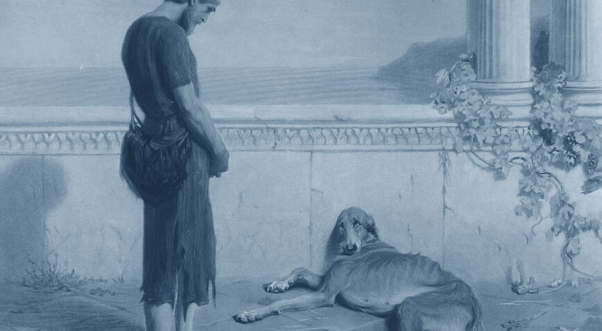 Il migliore amico dell'uomo: vediamo quali sono i cani più famosi della ...